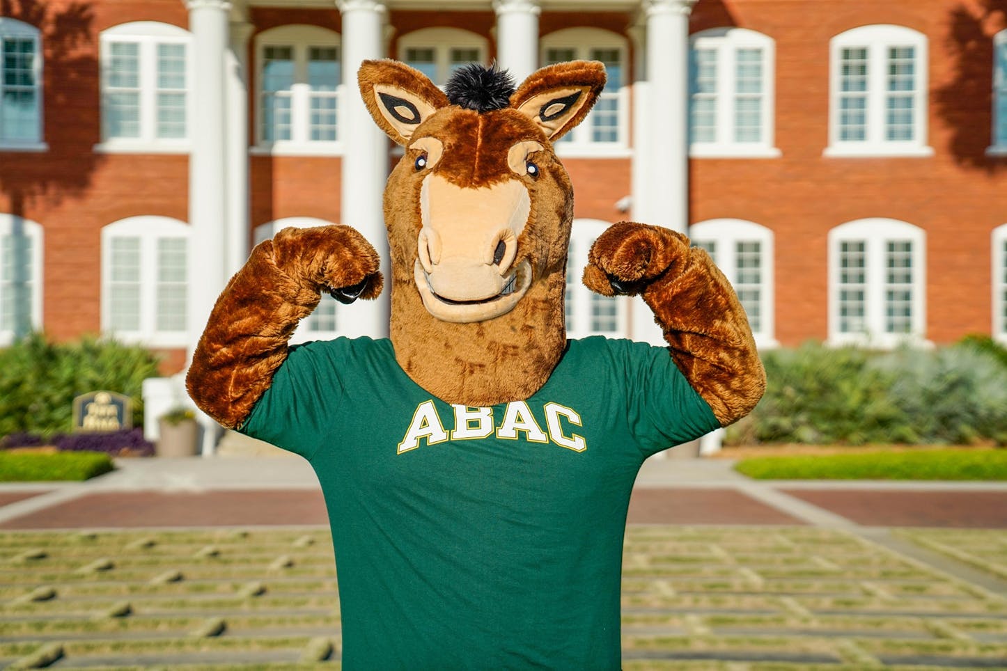 Abraham Baldwin Agricultural College | Events Home