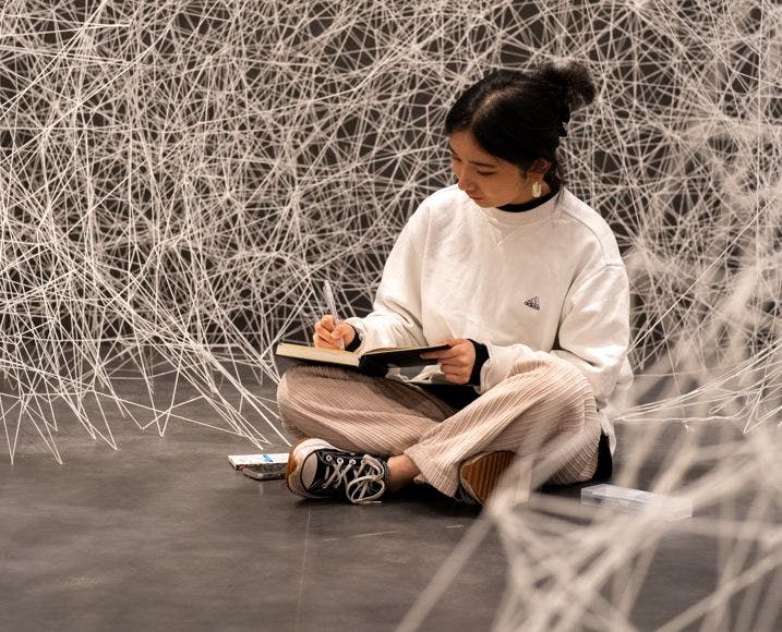 DIS - Study Abroad in Scandinavia