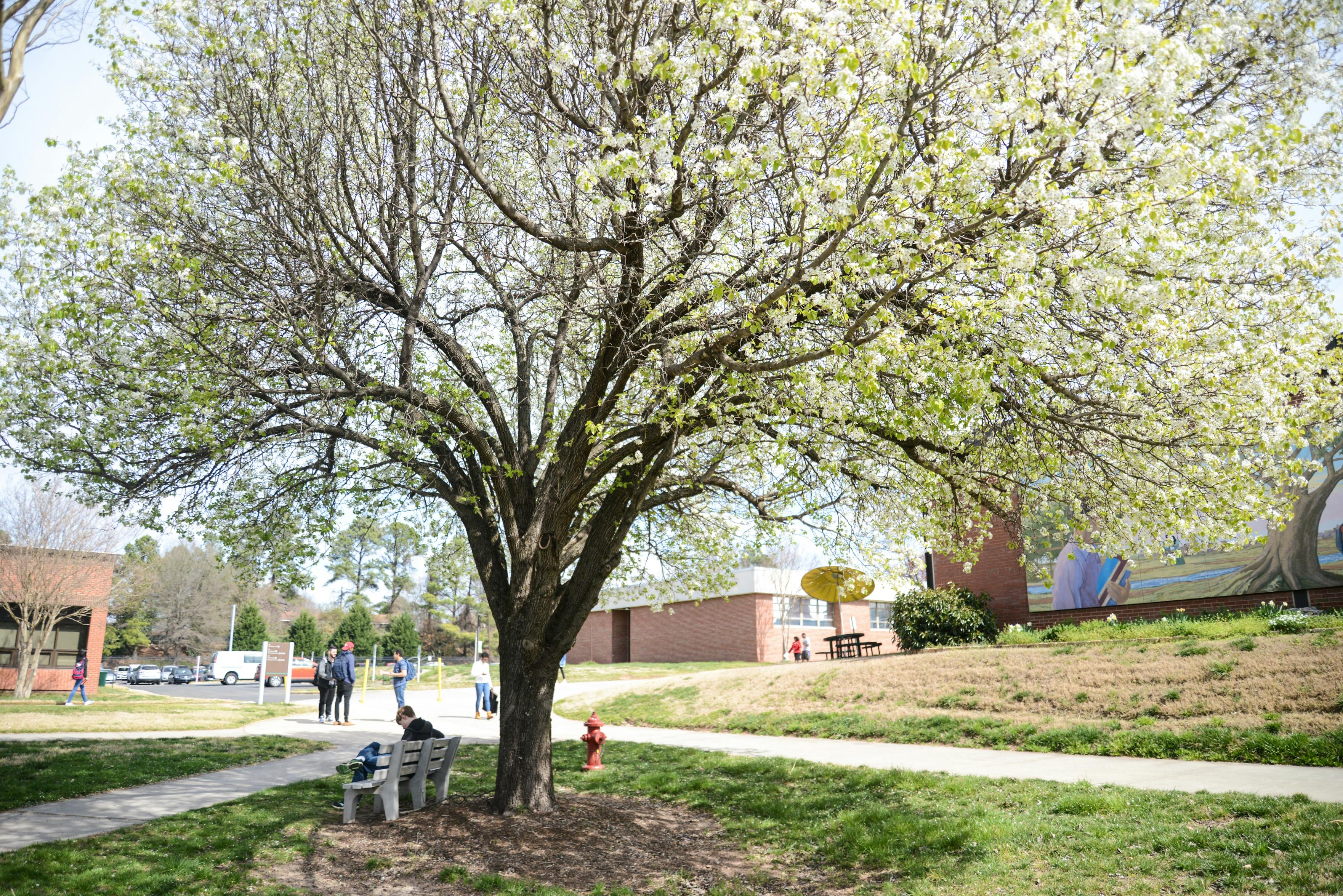 Durham Technical Community College | Event Details